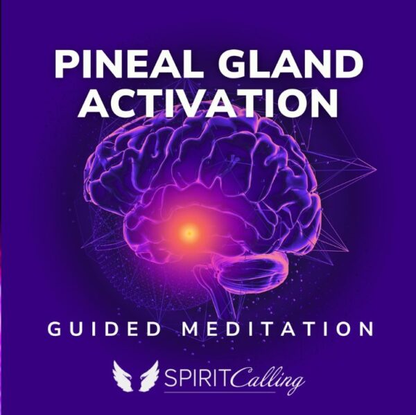 Work with Pamela – Spirit Calling